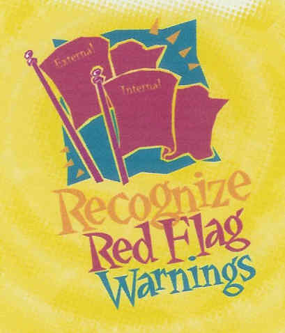 10 Wise Ways - The BrainWise Program