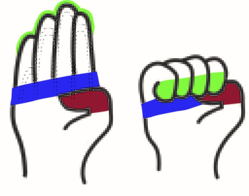 Helpers Reinforce BrainWise Learning - The BrainWise Program